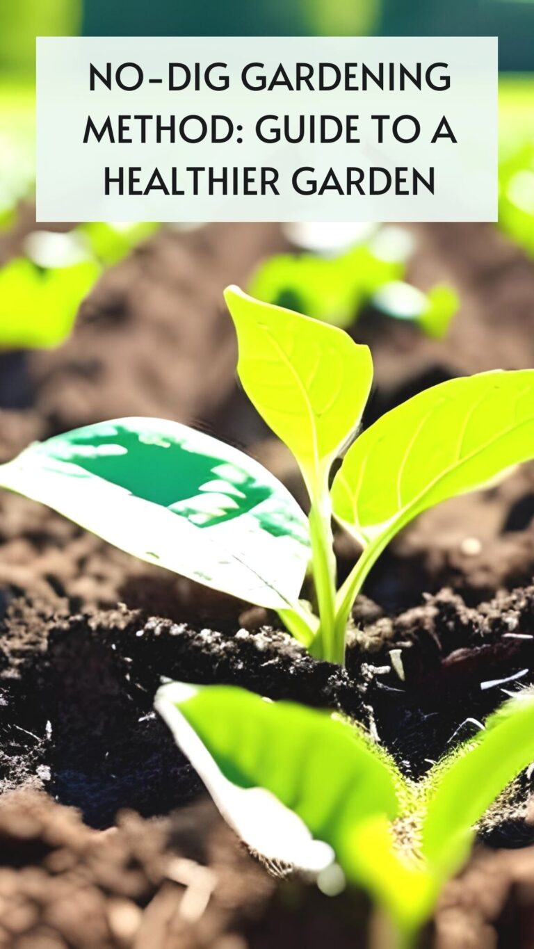 No-Dig Gardening Method: Guide to A Healthier Garden - It's Me Lady G