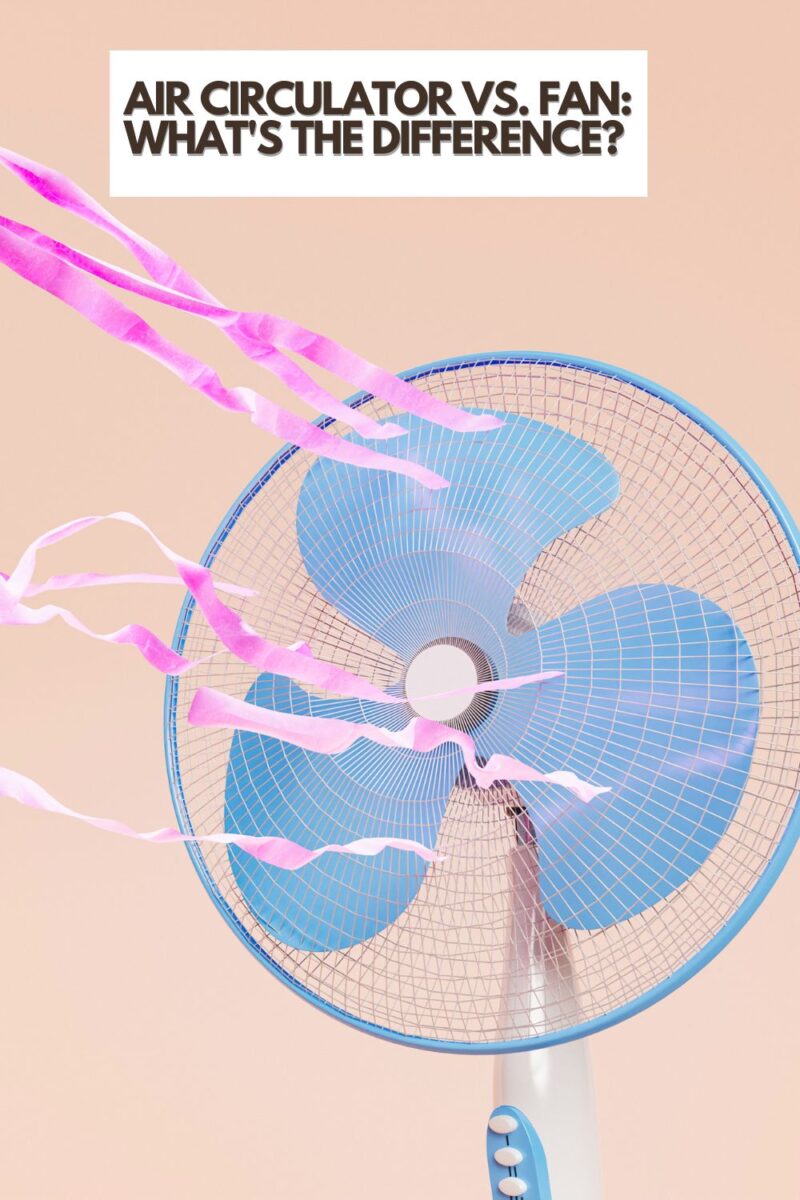 Air Circulator Vs. Fan: What's the Difference? - It's Me Lady G